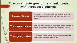 biopharming for gums and starch | PPTX