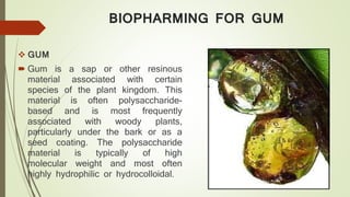 biopharming for gums and starch | PPTX