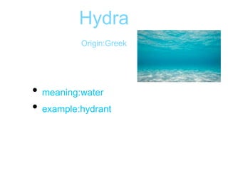 New bizzie,ava,and lily's words | PPTX | Science