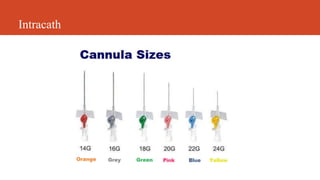 BLOOD COLLECTION & PRACTICAL HEMATOLOGY.pptx