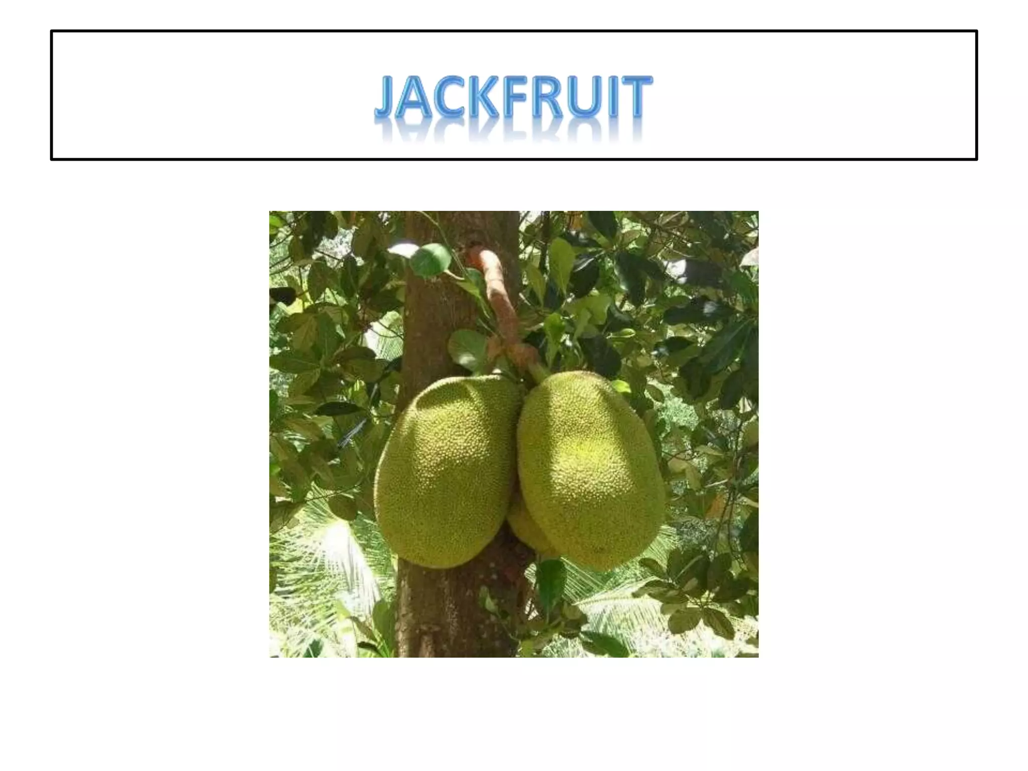 different grafting methods in minor fruit crops | PPTX