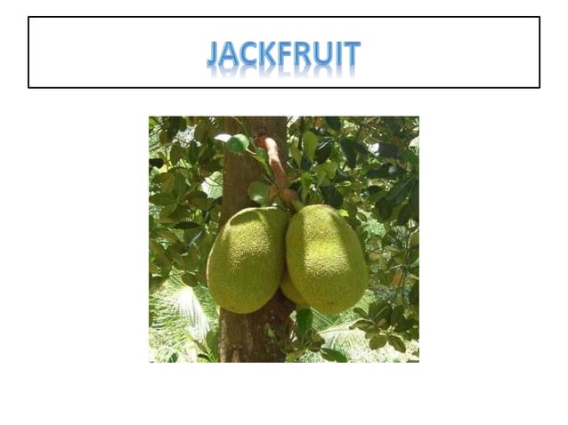 different grafting methods in minor fruit crops | PPTX