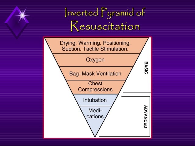 Inverted Pyramid Of Neonatal Resuscitation Improving The