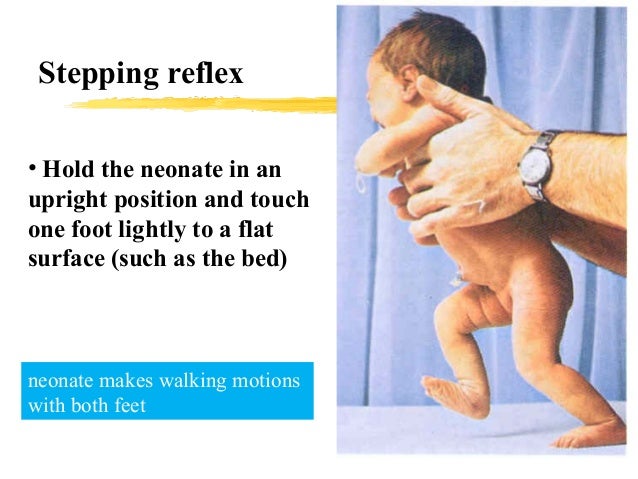 Placing Reflex