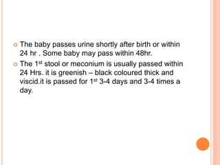 Newborn | PPTX