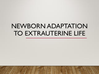 Newborn-Adaptation-Final-PPTssssssssssssss.ppt | Parenting Babies and Toddlers | Parenting
