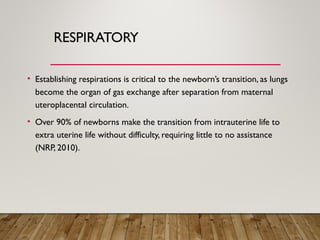 Newborn-Adaptation-Final-PPTssssssssssssss.ppt | Parenting Babies and ...