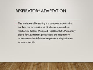 Newborn-Adaptation-Final-PPTssssssssssssss.ppt | Parenting Babies and ...