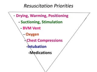 Inverted Pyramid Of Neonatal Resuscitation