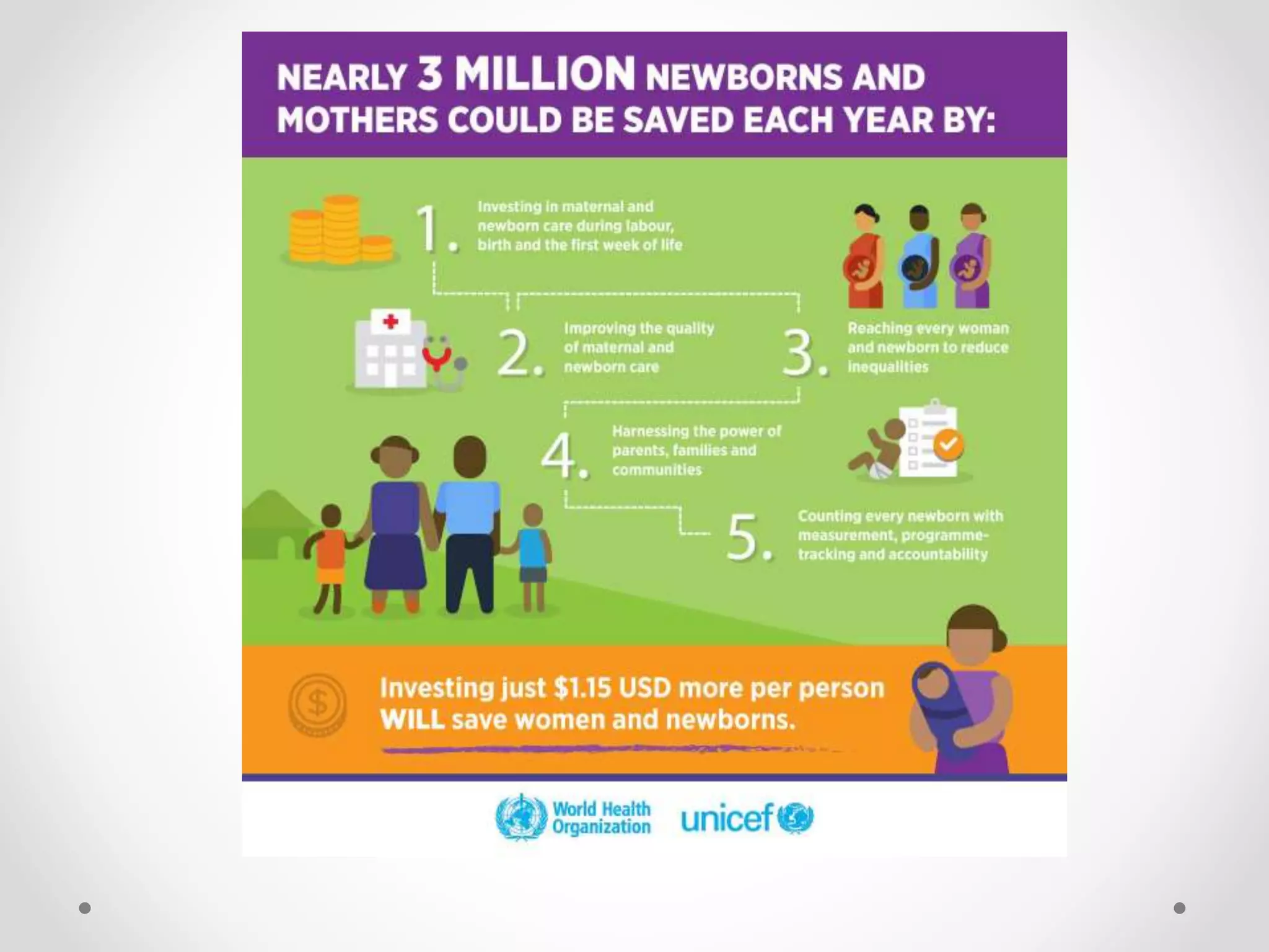 INDIAN NEWBORN ACTION PLAN | PPTX