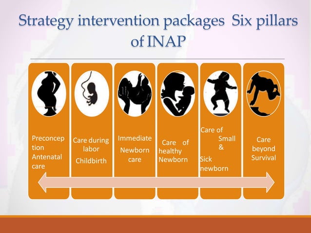 INDIAN NEWBORN ACTION PLAN | PPTX