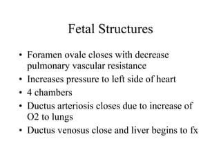 Newborn adaptation | PPT