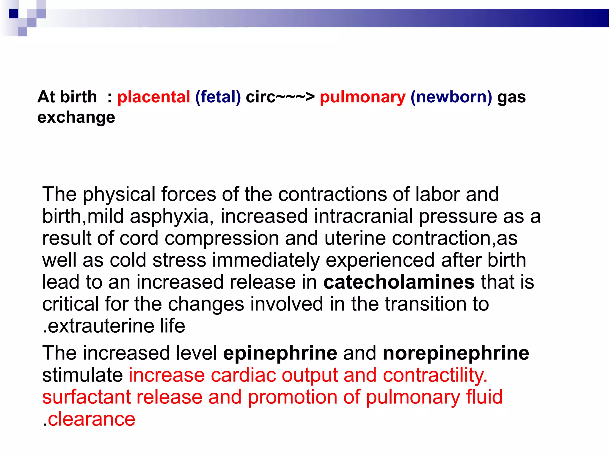 newborn adaptation.pptx