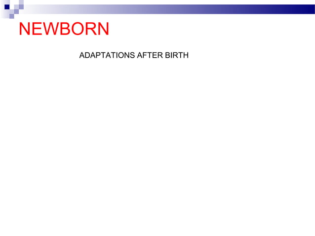 newborn adaptation.pptx