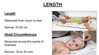 NEW BORN ASSESEMENT updated.pptx