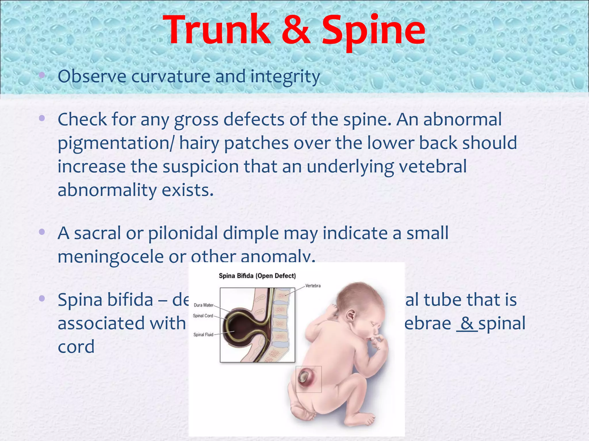 Newborn assessment | PPT