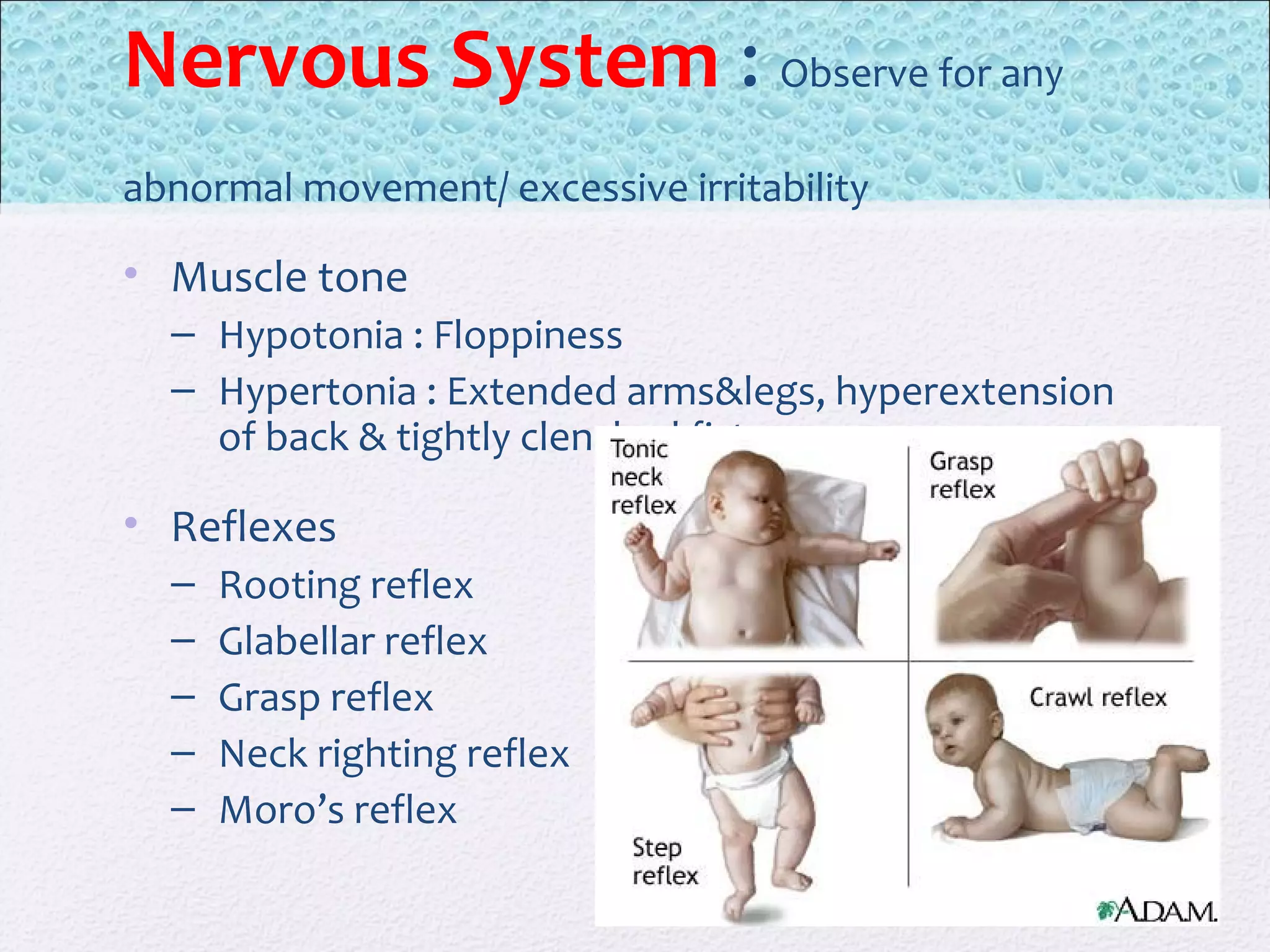 Newborn assessment | PPT