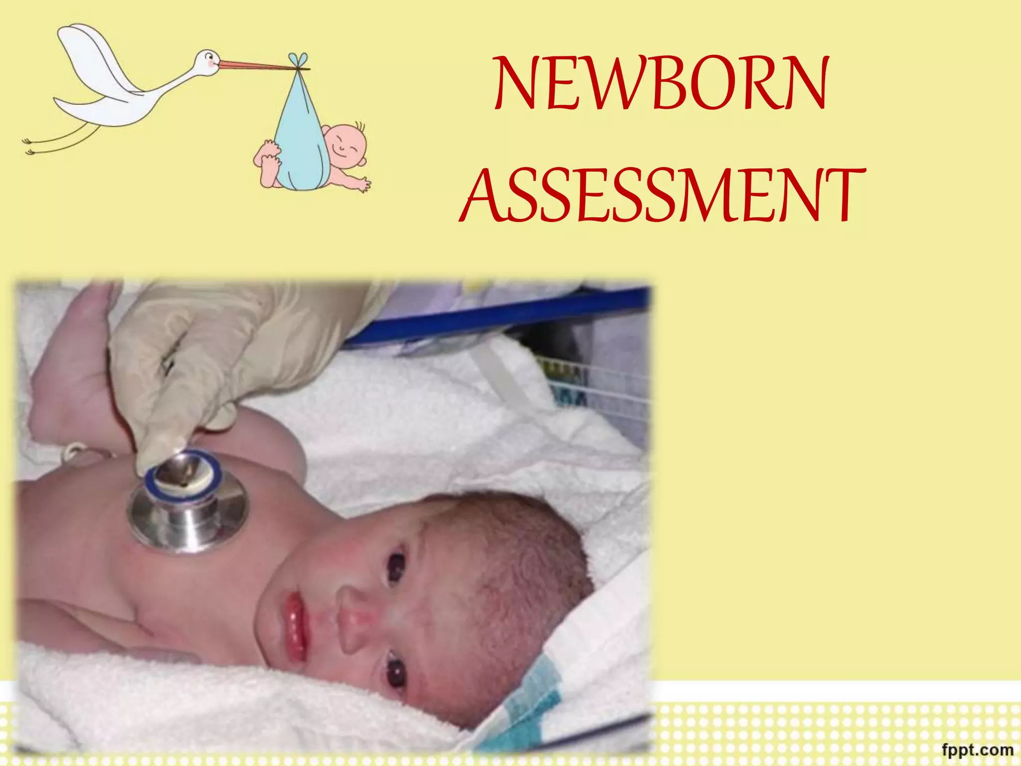Newborn assessment | PPT