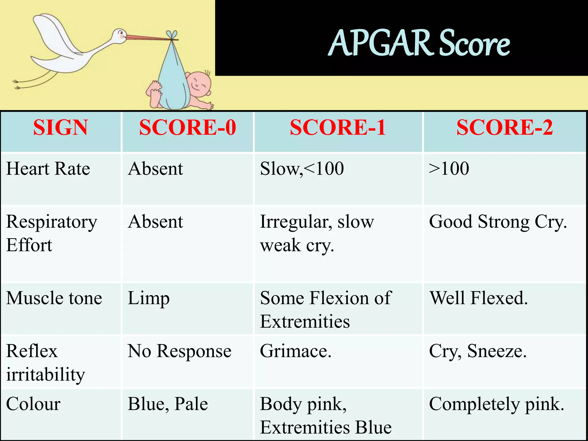 Newborn assessment | PPT