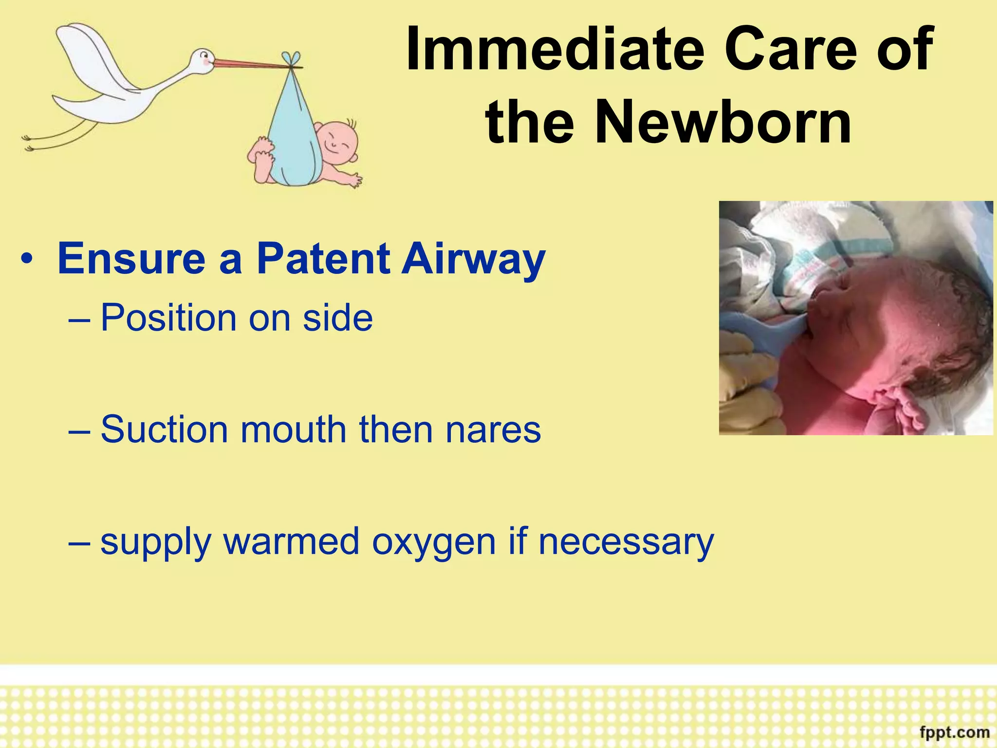 Newborn assessment | PPT