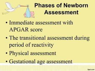 Newborn assessment | PPT