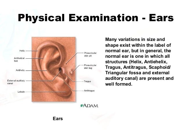 Ear Examination Simulator - 1005645 - W44122 - LF01019U - Ear, Nose and ...