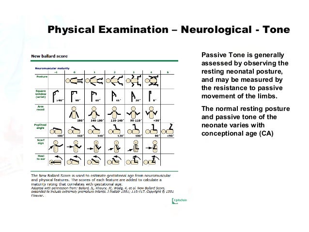 Newborn Assessment by Hadi Hospital NICU.