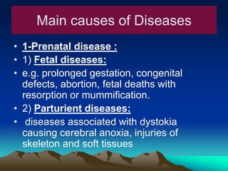 New born calf diseases prof dr. hamed attia | PPT