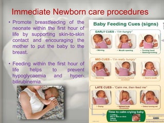 Immediate New born care in labour room | PPTX