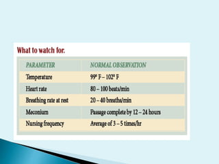 new born care MCQ.pptx