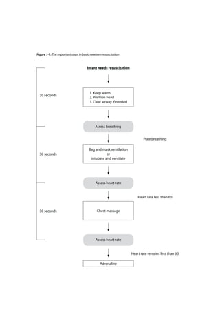 Newborn Care: Neonatal asphyxia and resuscitation | PDF