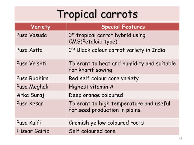 Carrot Breeding | PPTX