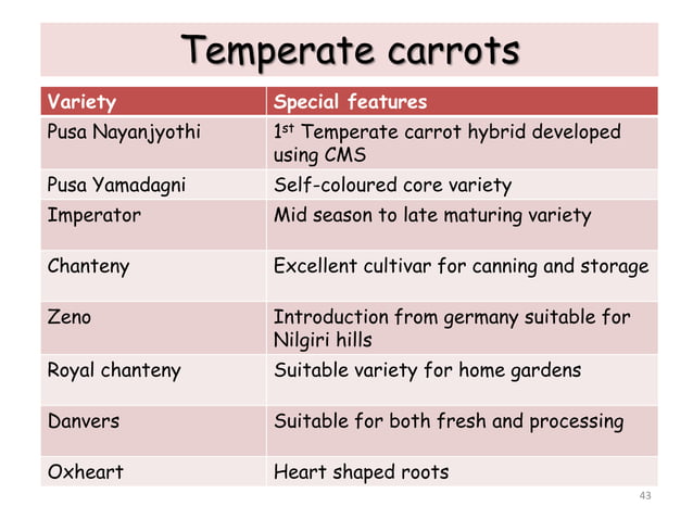 Carrot Breeding | PPTX