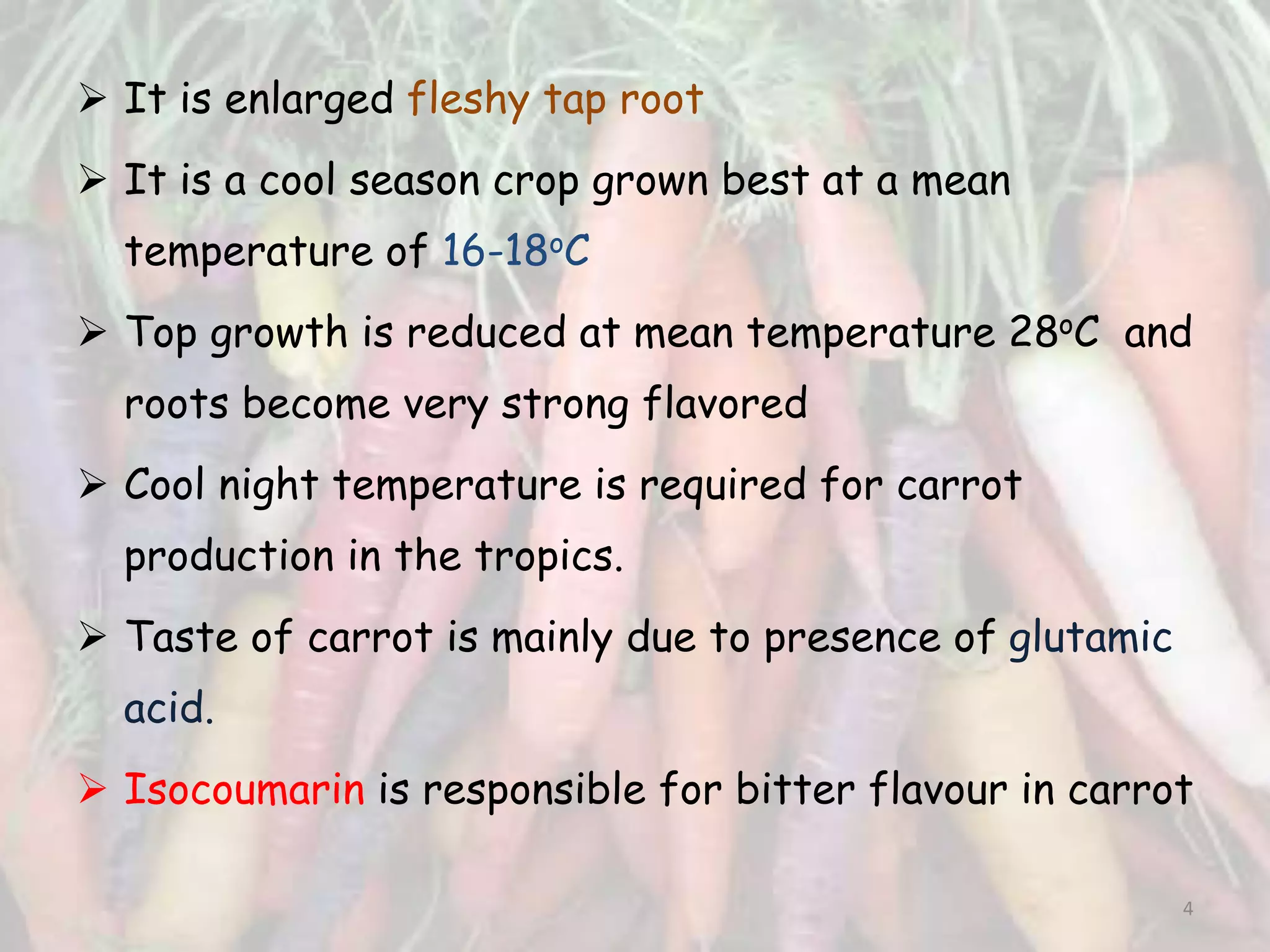 carrot breeding | PPTX