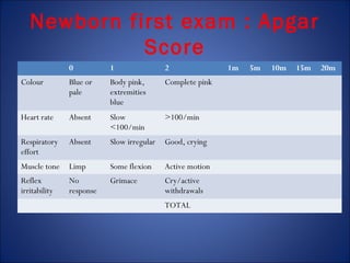 Newbornexamination | PPT