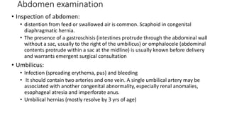 Newborn examination | PPT