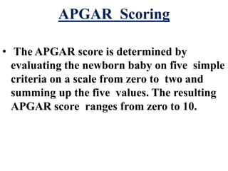 NEWBORN EXAMINATION.pptx