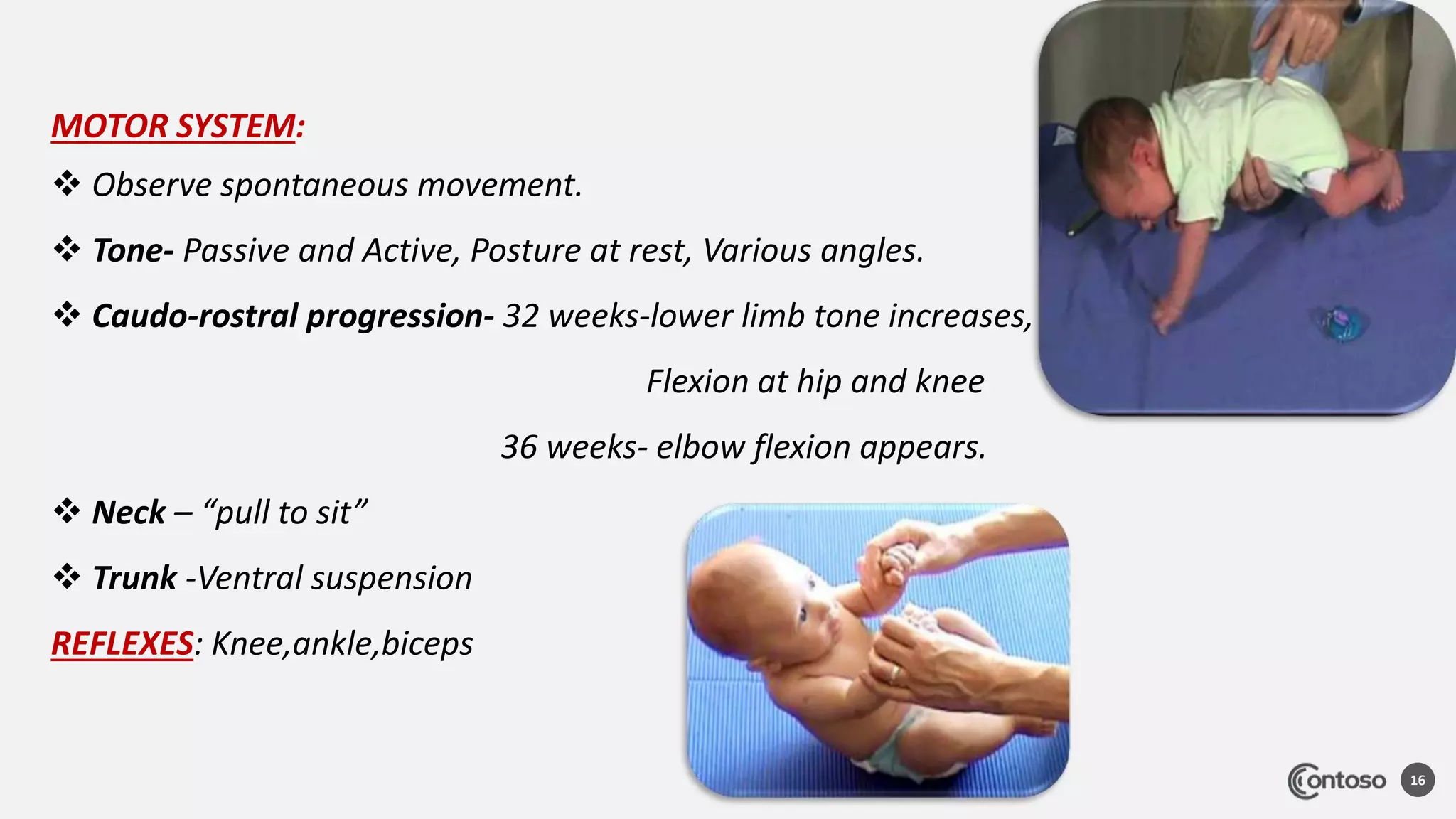 NEWBORN EXAMINATION-REFLEXES.pptx