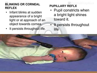 Newborn assessment | PPTX