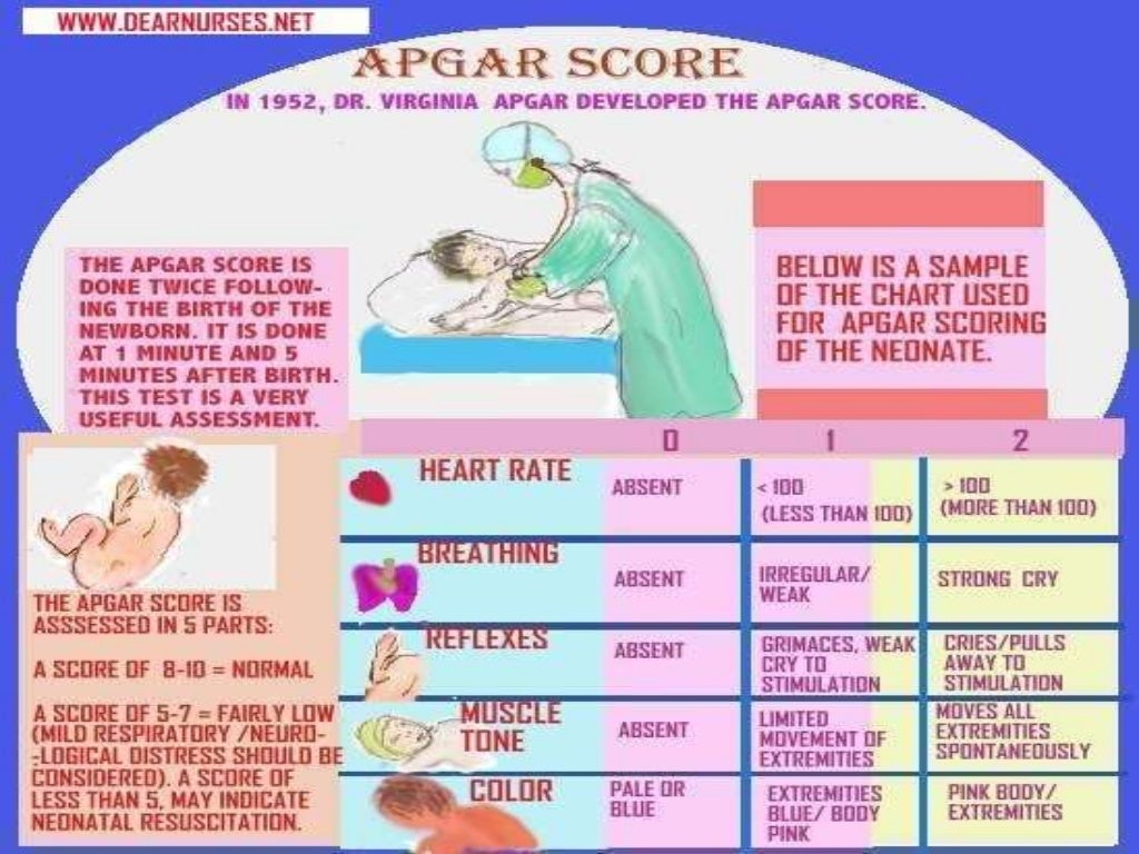 newborn-assessment