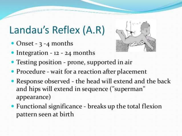 Newborn infant | PPT | Free Download
