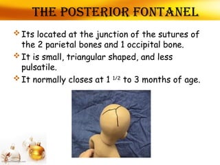 newborn physiology,characteristics classification.ppt