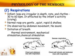 newborn physiology,characteristics classification.ppt
