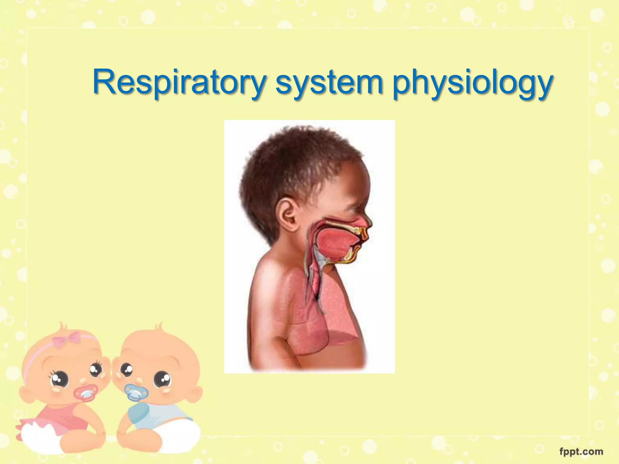 newBorn physiology raghunath.pptx