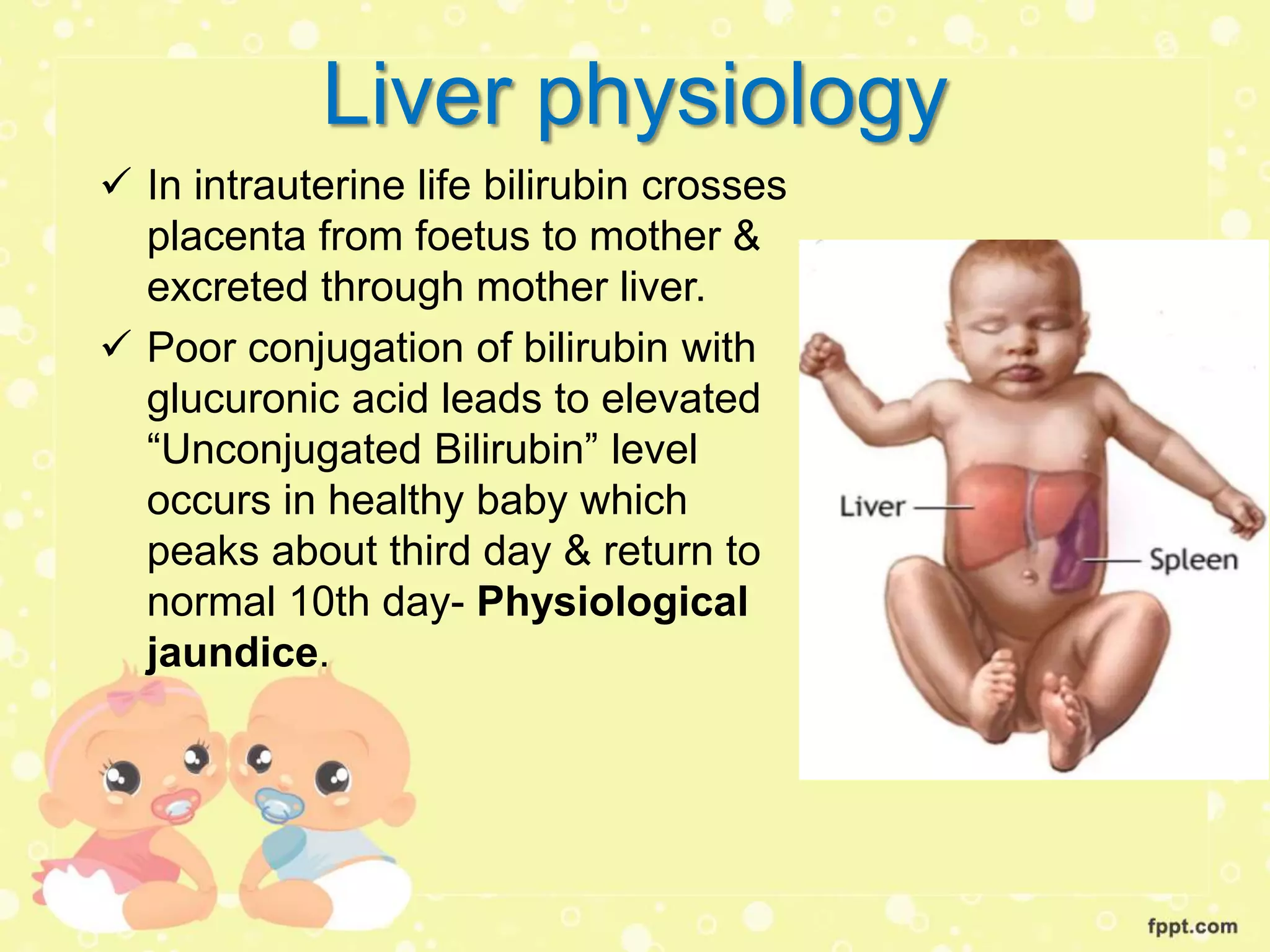 newBorn physiology raghunath.pptx