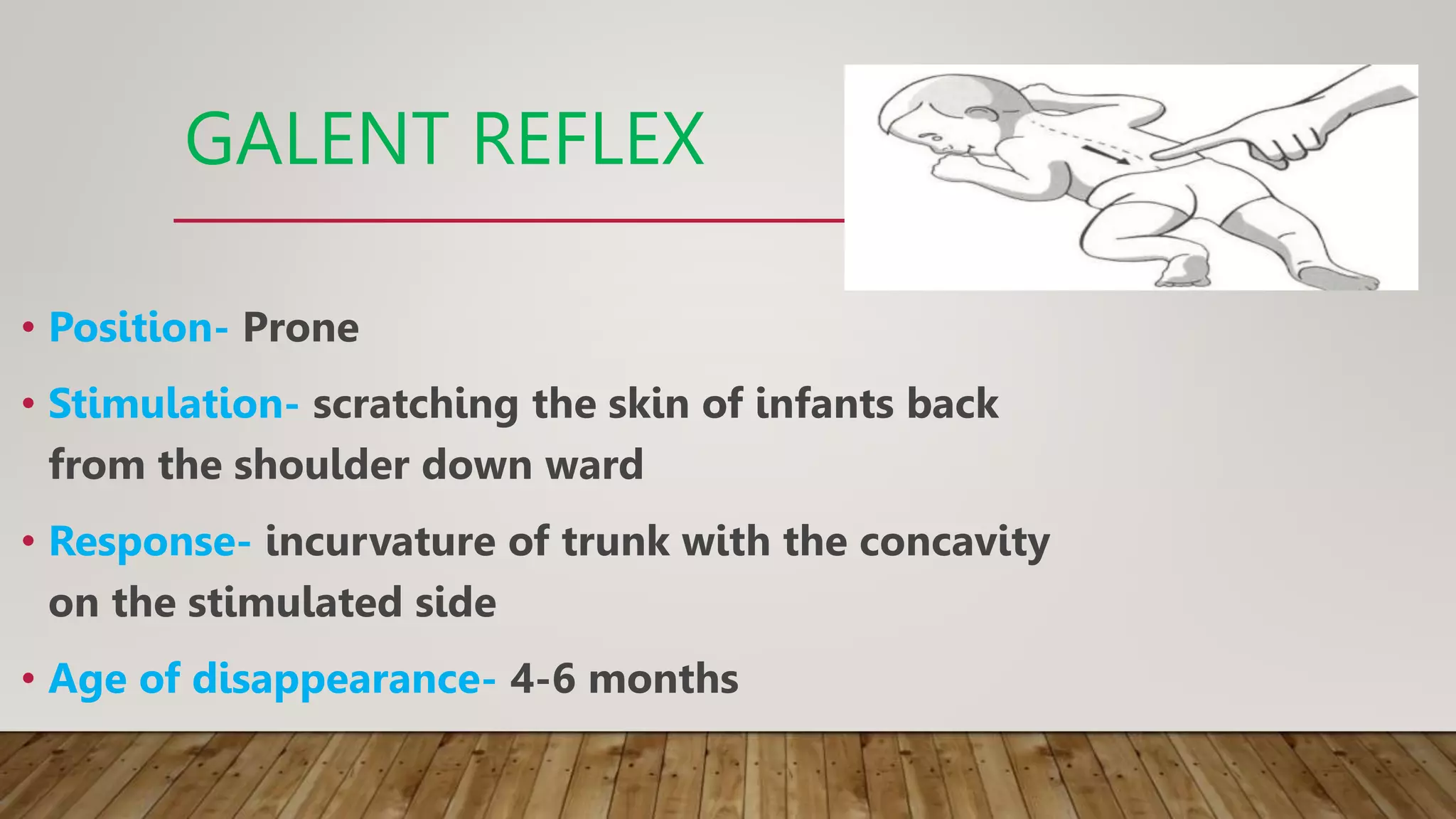Newborn Reflex.pptx