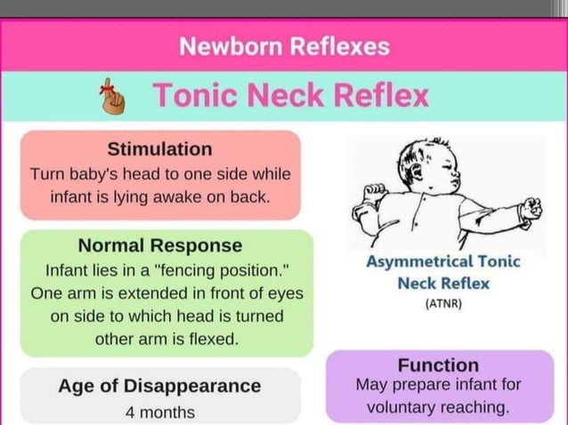 New born reflexes | PPTX | Parenting Babies and Toddlers | Parenting