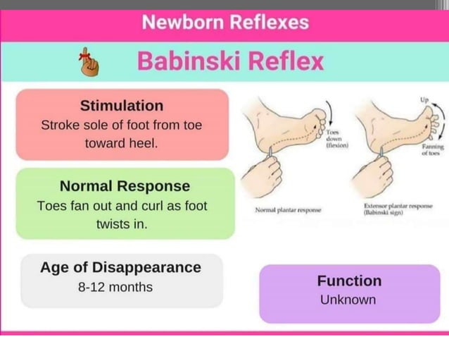 New born reflexes | PPTX | Parenting Babies and Toddlers | Parenting