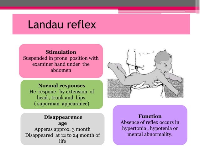 New born reflexes | PPTX | Parenting Babies and Toddlers | Parenting