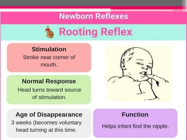 New born reflexes | PPTX | Parenting Babies and Toddlers | Parenting